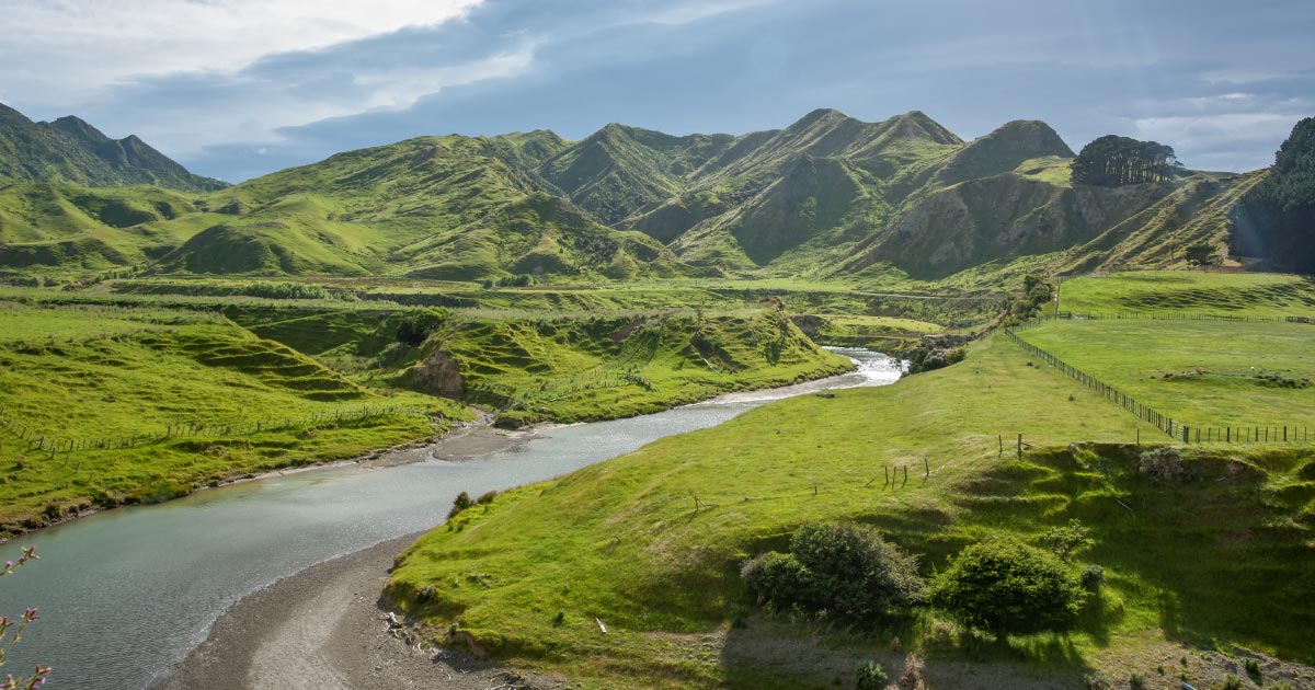 Land Use, Water and Waste-related Resource Consents